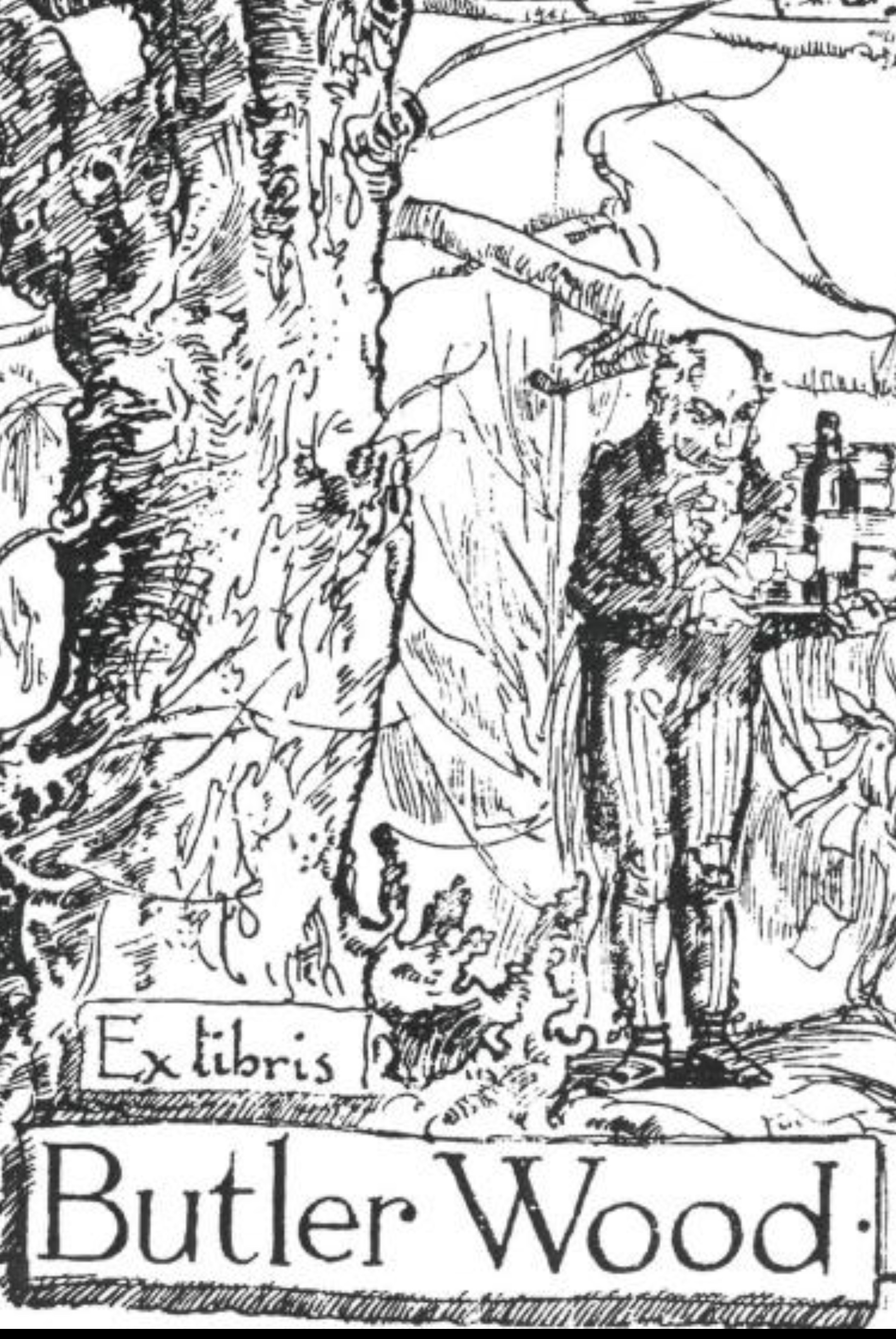 Brontë Images: 116 Years of Brontë Studies – Bradford and District ...