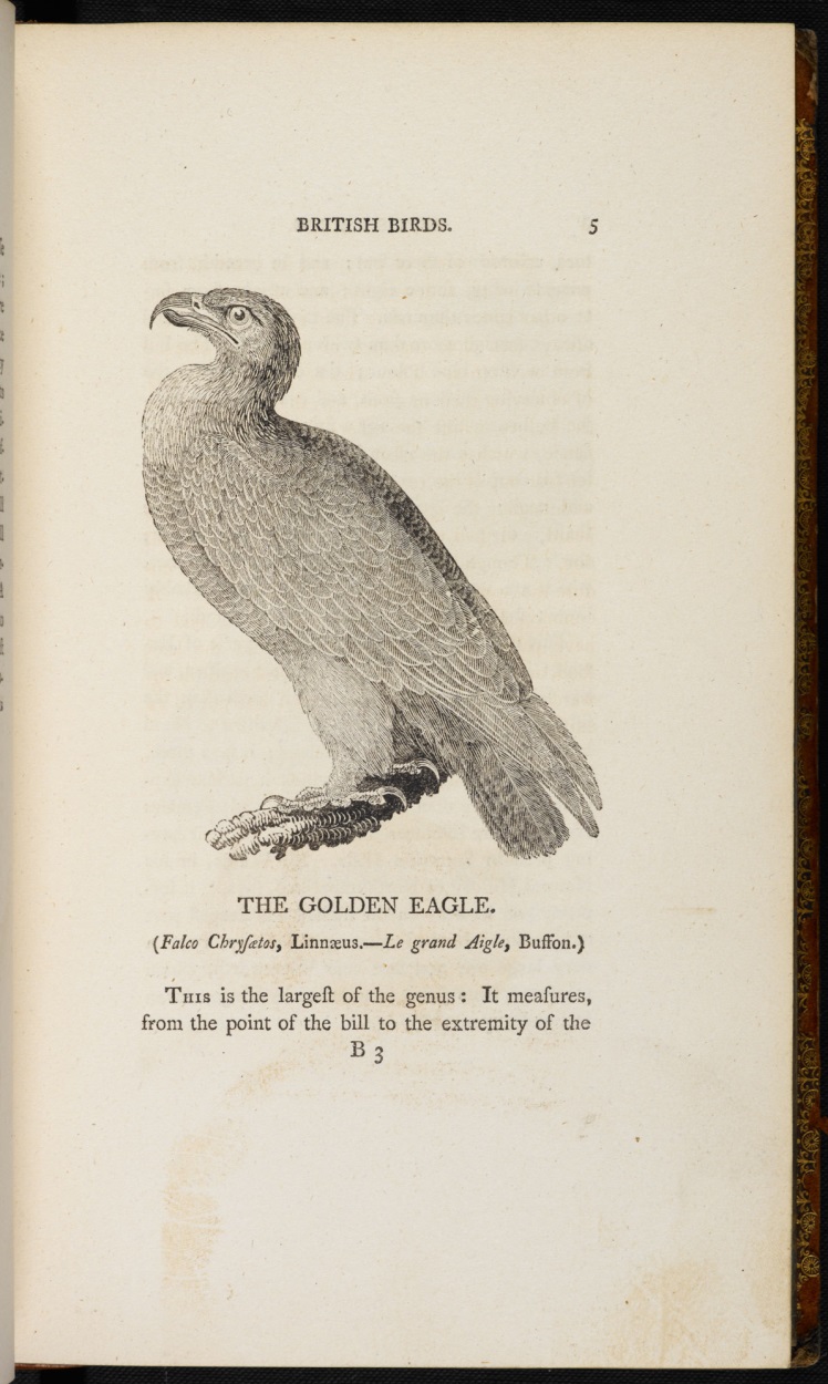 The Brontës and their reading: what the Brontës read and their Home ...